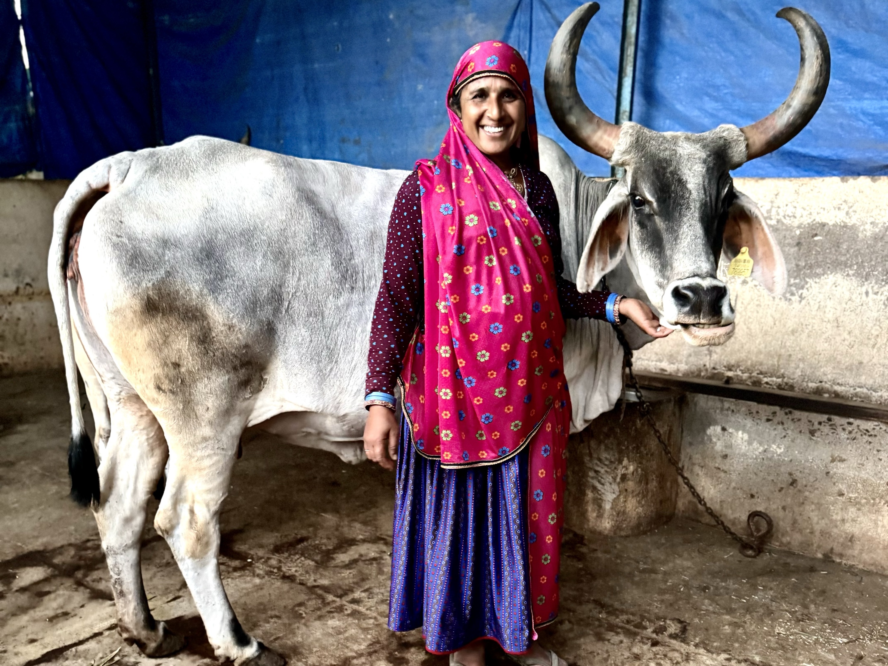 FEBRUARY 22, THURSDAY | BILLYBABA’S WANDERING