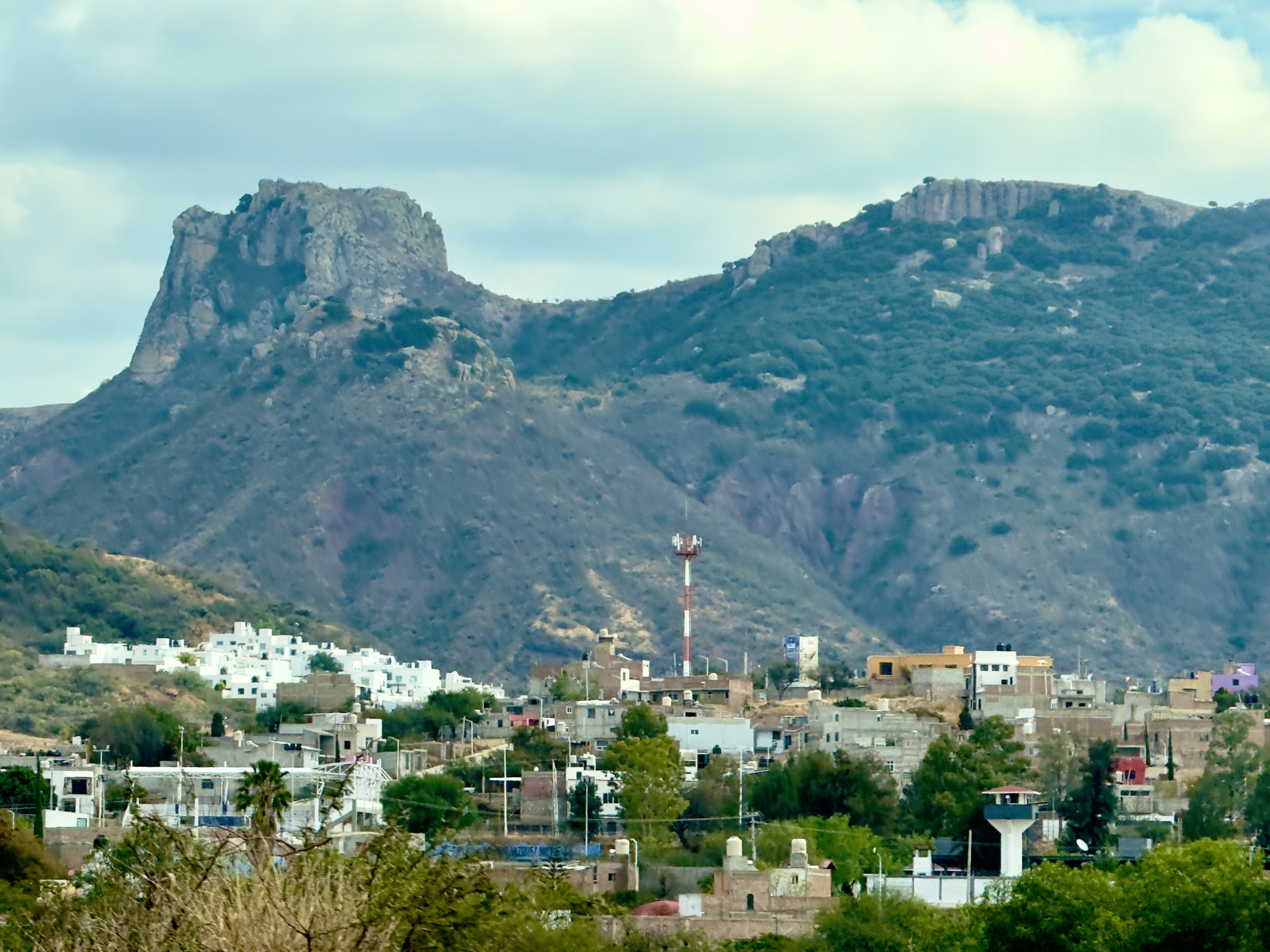 JANUARY 12, SUNDAY | BILLYBABA’S WANDERING